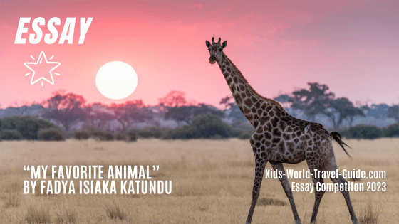 My Favorite Animal | Wildlife Essay Contest 2023 | Tanzania