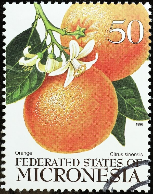 Facts about Micronesia | Oceania | Country Facts | Geography | Travel