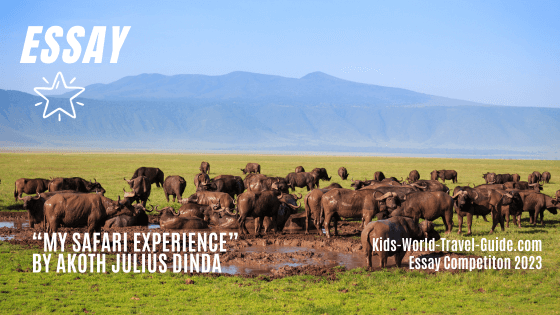 My Safari Experience | Wildlife Essay Contest 2023 | Tanzania